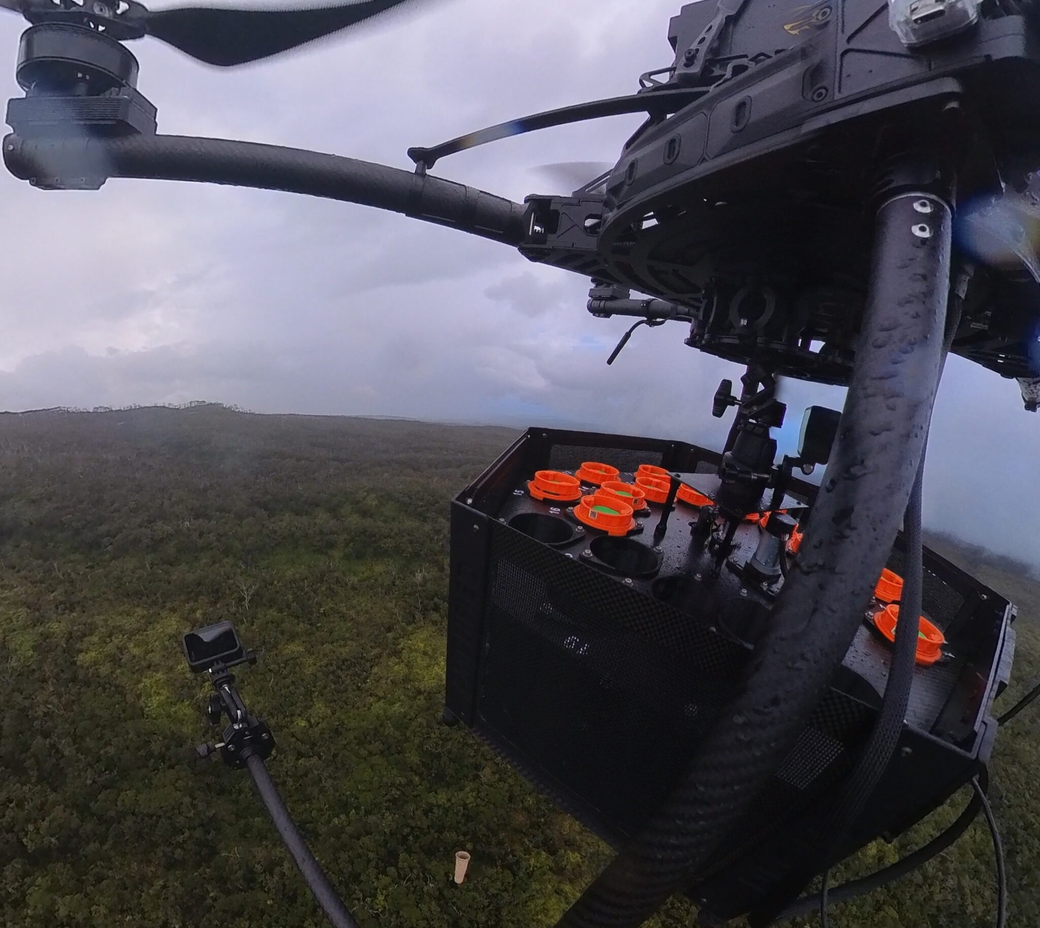 Thousands of mosquitoes are being dropped by drone over islands in ...